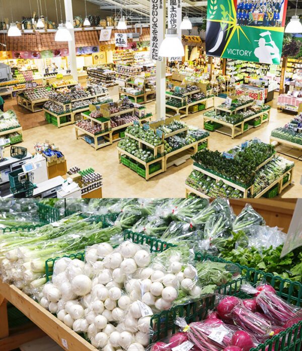 ブログ | 熱海柑橘農園 | ATAMI de LEMON®