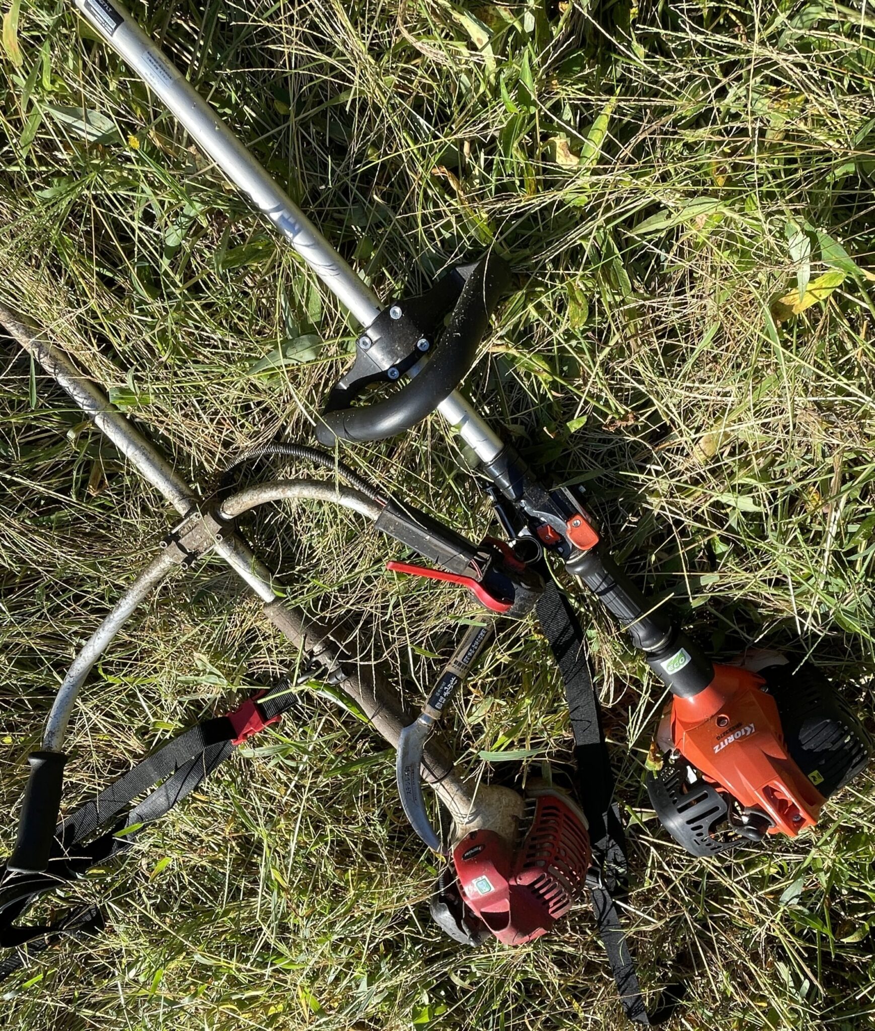 熱海柑橘農園 | ATAMI de LEMON